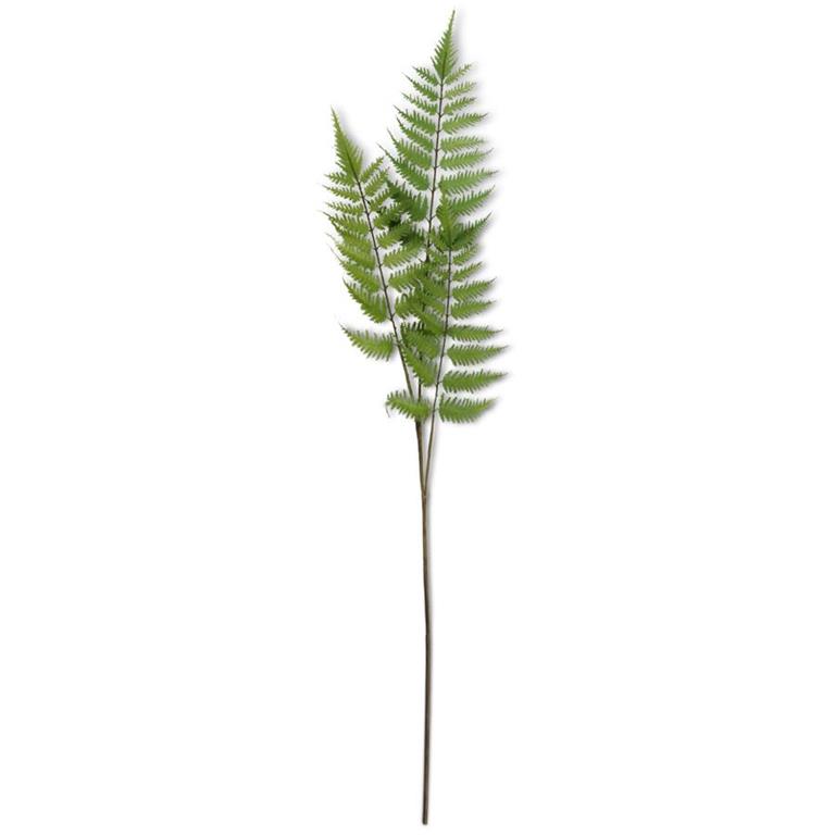 3 Branch Fern — BDC Living