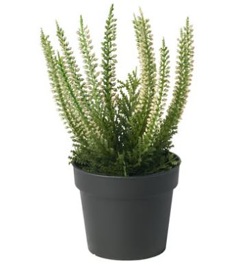 Heather Potted Plant — BDC Living