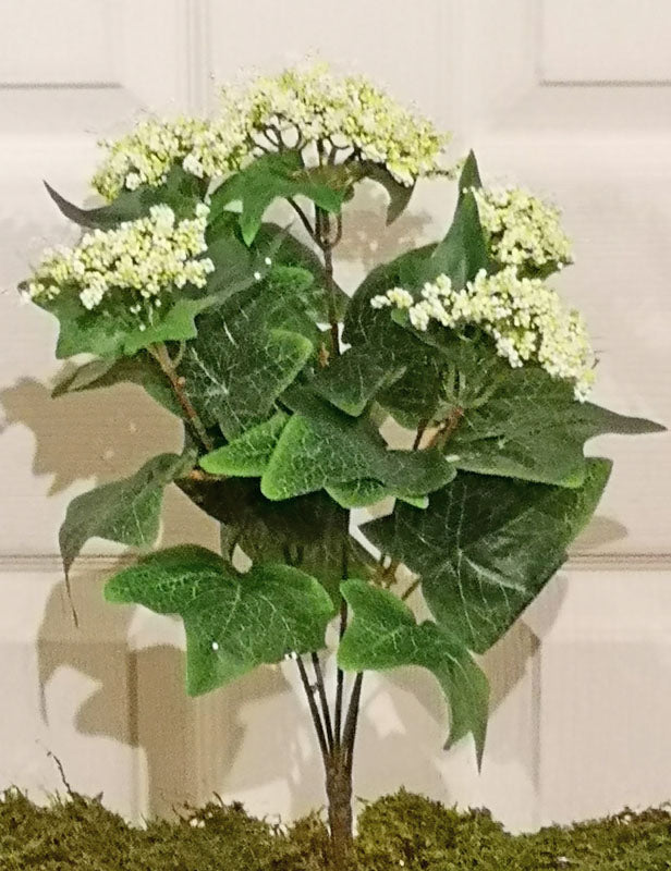 Cluster Berry Bush — BDC Living